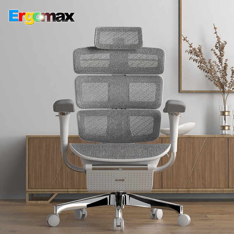 Evolution2+ - ergomax迩高迈思官网