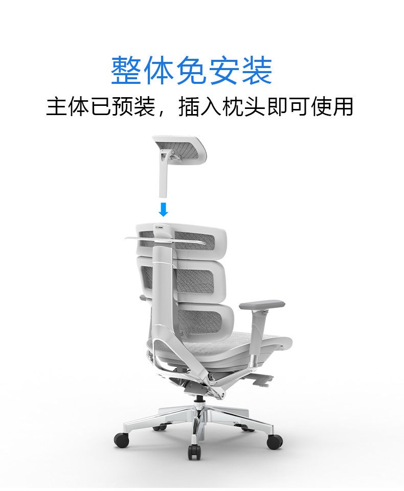 EVOLUTION 2MAX - ergomax迩高迈思官网