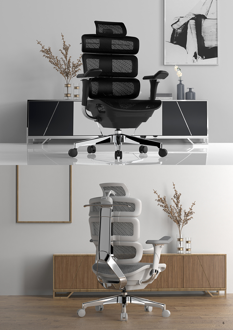 Evolution2+ - ergomax