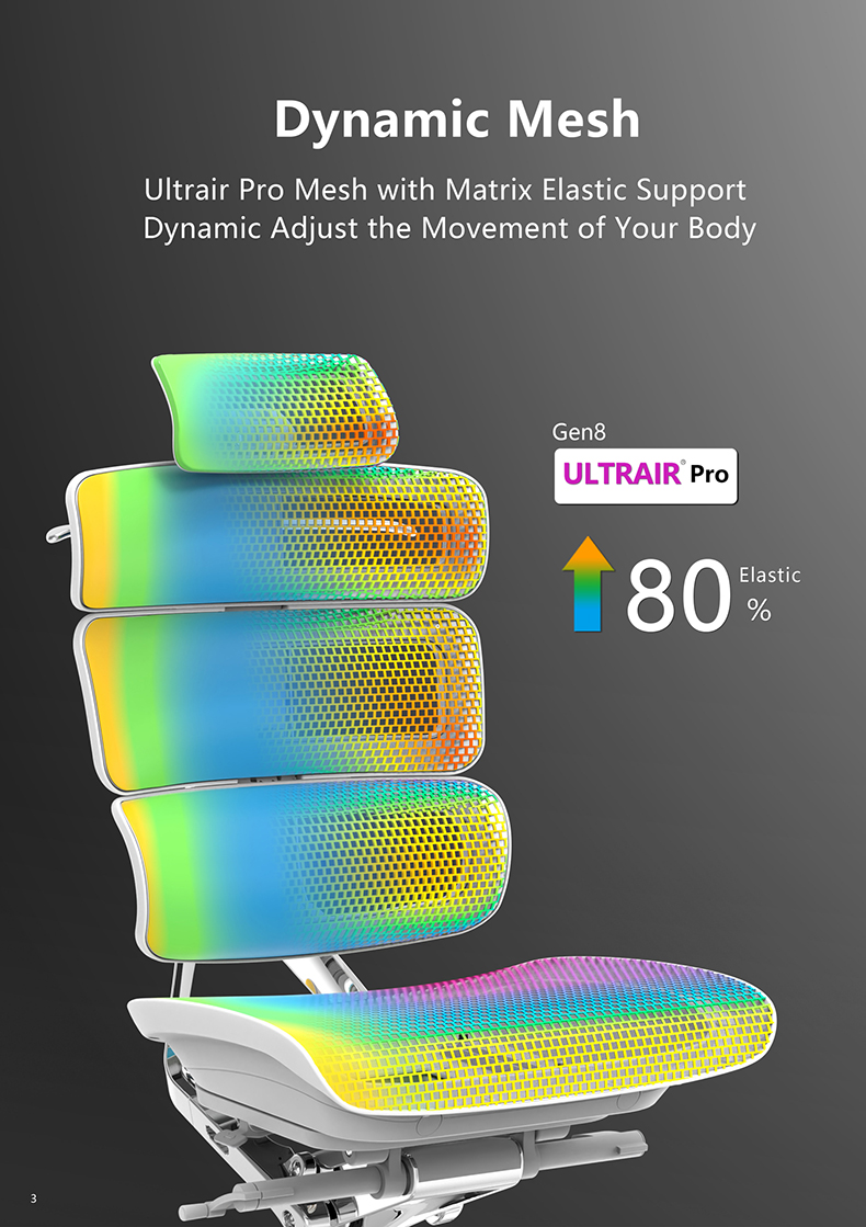 EVOLUTION2 PROMAX - ergomax