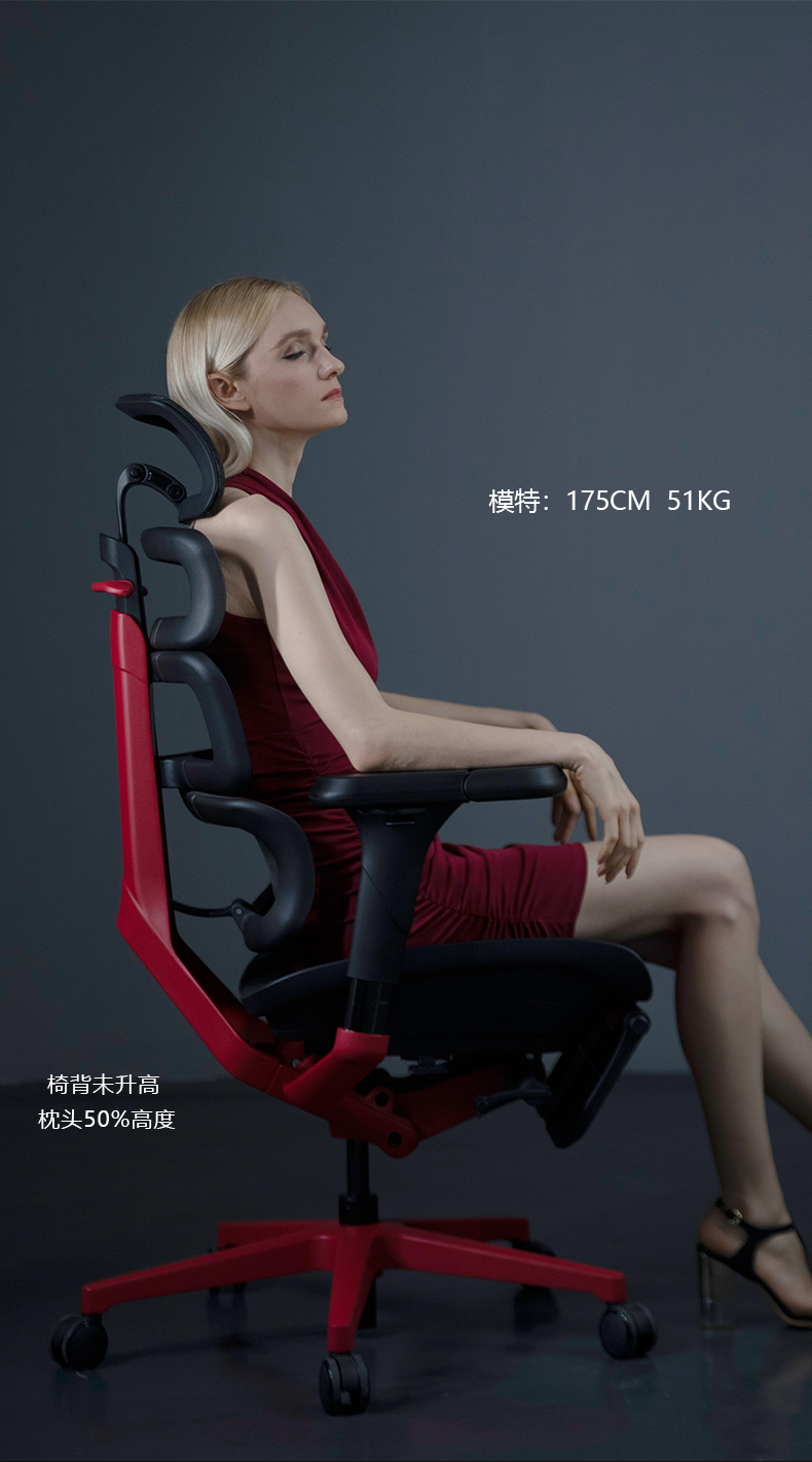 Evolution2 PROMAX - ergomax迩高迈思官网