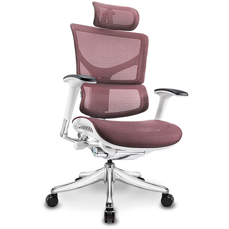 ergomax迩高迈思产品中心