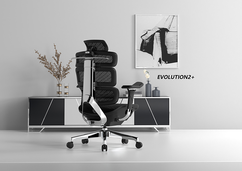 Evolution2+ - ergomax