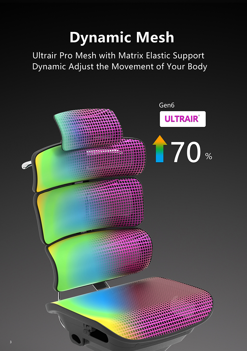 Evolution2+ - ergomax